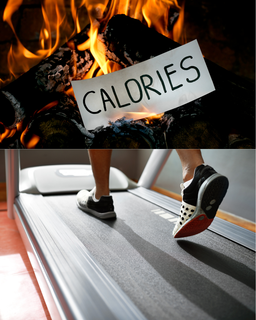 Personalized Exercise Recommendations: Find the Perfect Workout for You ...